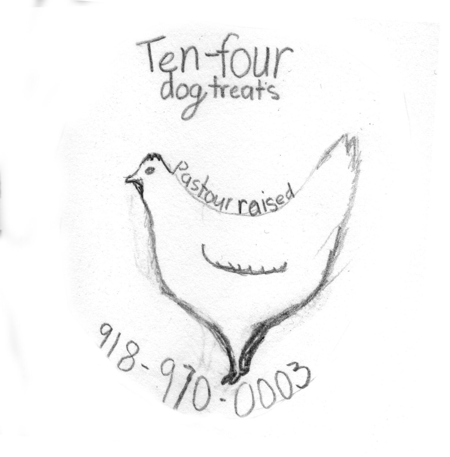 Ten Four Dog Treats - Mount Wild Things