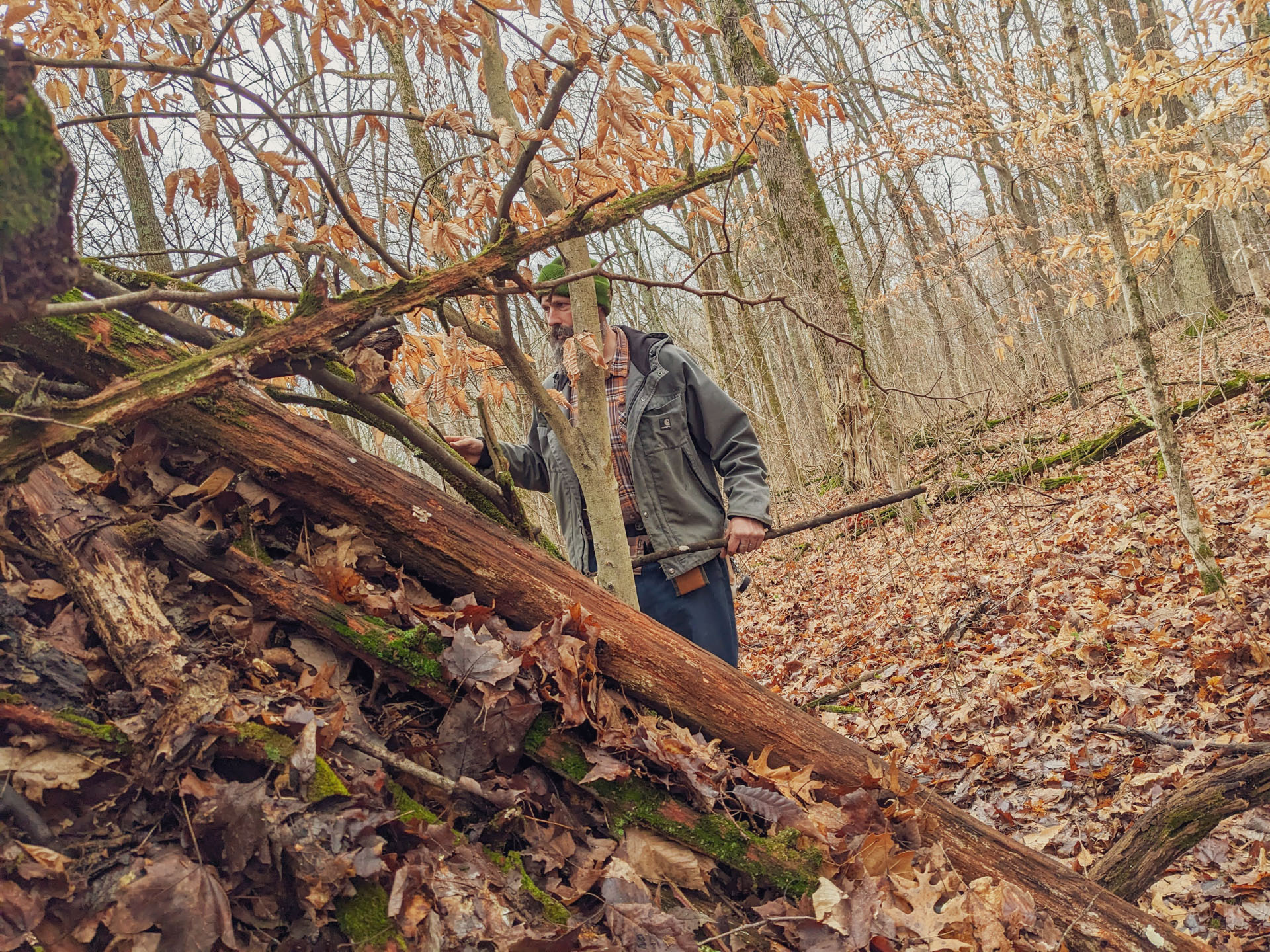 Lean-to fort - Mount Wild Things